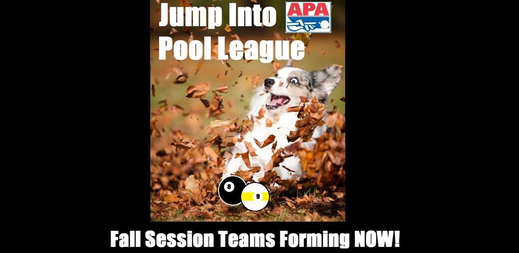 St Louis APA Pool League 8 Ball 9 Ball Masters st-louis-apa-pool-league-8-ball-9-ball-masters